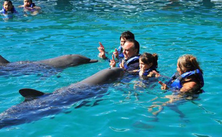 Xel-Ha Dolphinclusive Premium - Dolphin Swim and Xel Ha Park Combo