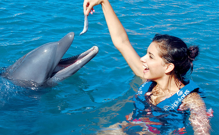 Trainer for a Day - Dolphin Swim at Xel-Ha