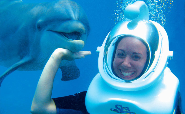 Delphinus Trek - Swim with Dolphins in Cancun at Xel-Ha