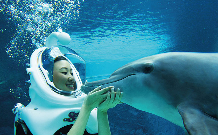 Delphinus Trek - Swim with Dolphins in Cancun at Xel-Ha