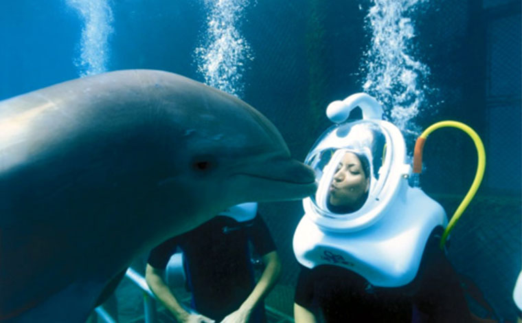 Delphinus Trek - Swim with Dolphins in Cancun at Xel-Ha