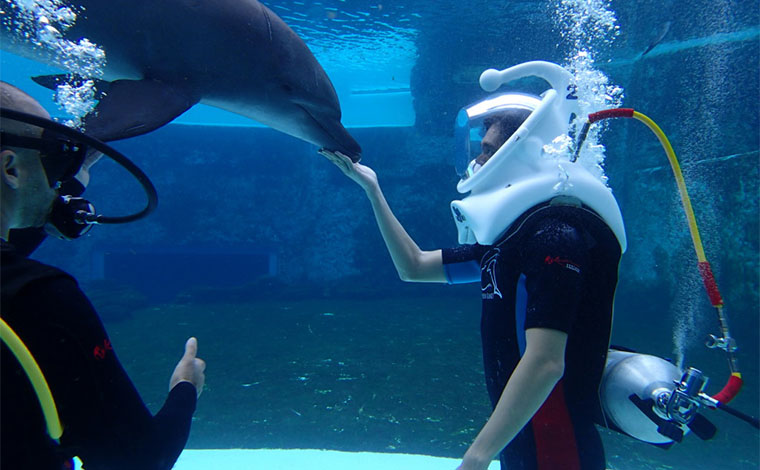 Delphinus Trek - Swim with Dolphins in Cancun at Xel-Ha