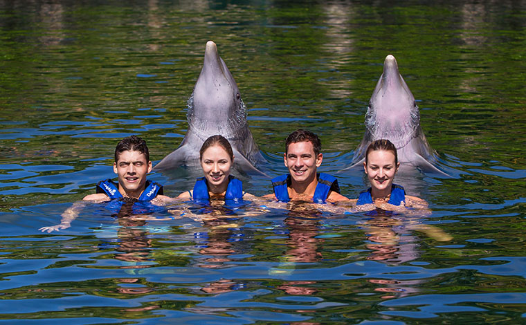 Swim with Dolphins at Delphinus Puerto Morelos
