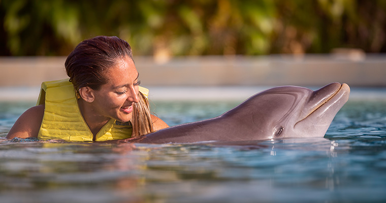 Friendly Encounter - Dolphin Swim