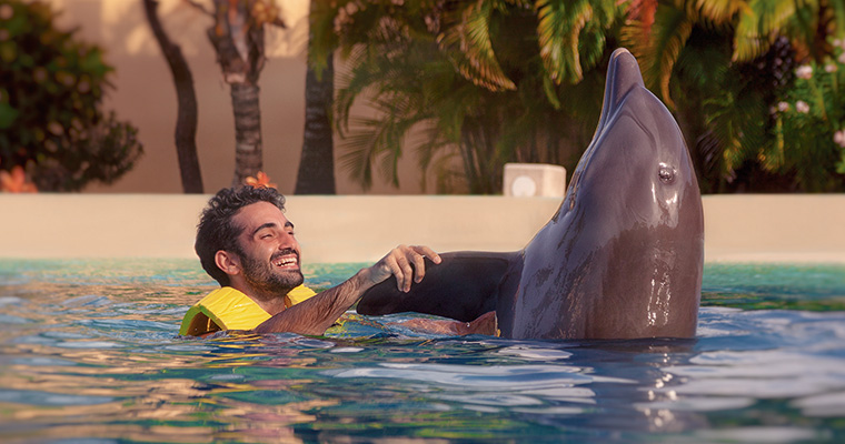 Friendly Encounter - Dolphin Swim
